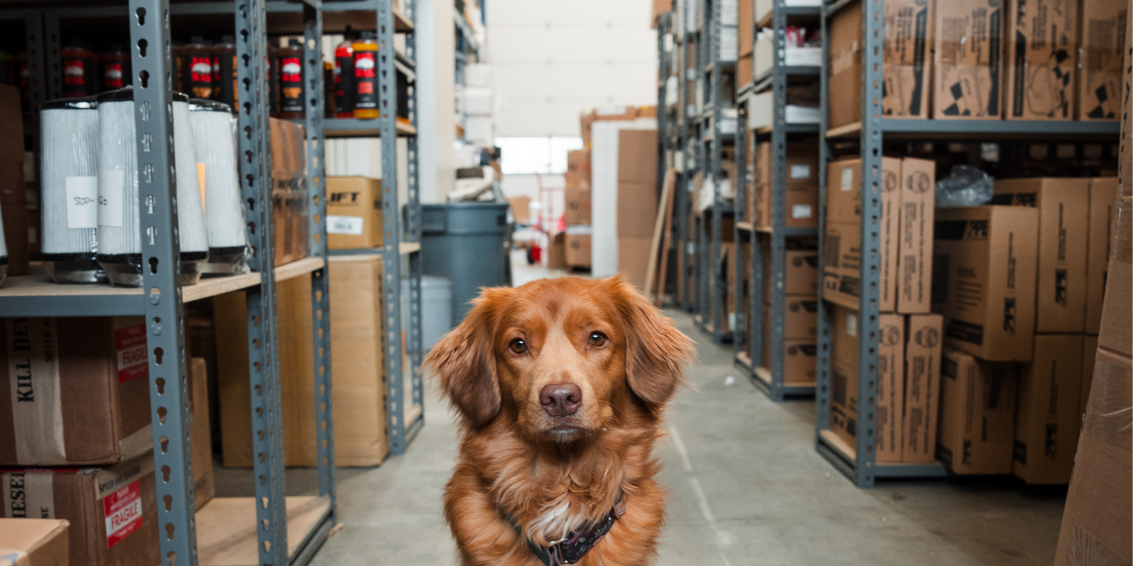 Dirty Diesel Customs | Canada's Leader in Diesel Performance